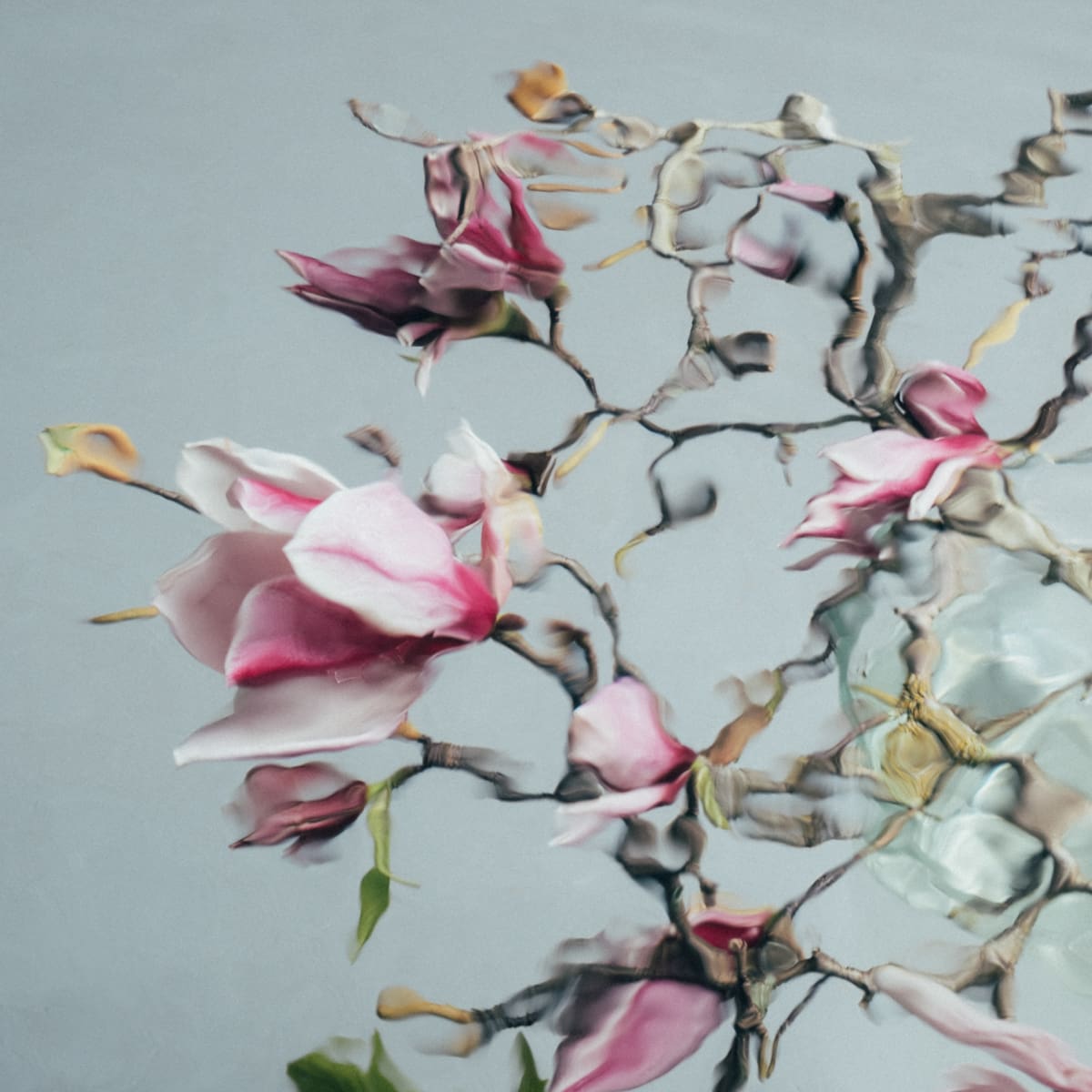 Current Exhibition – The Collaboration